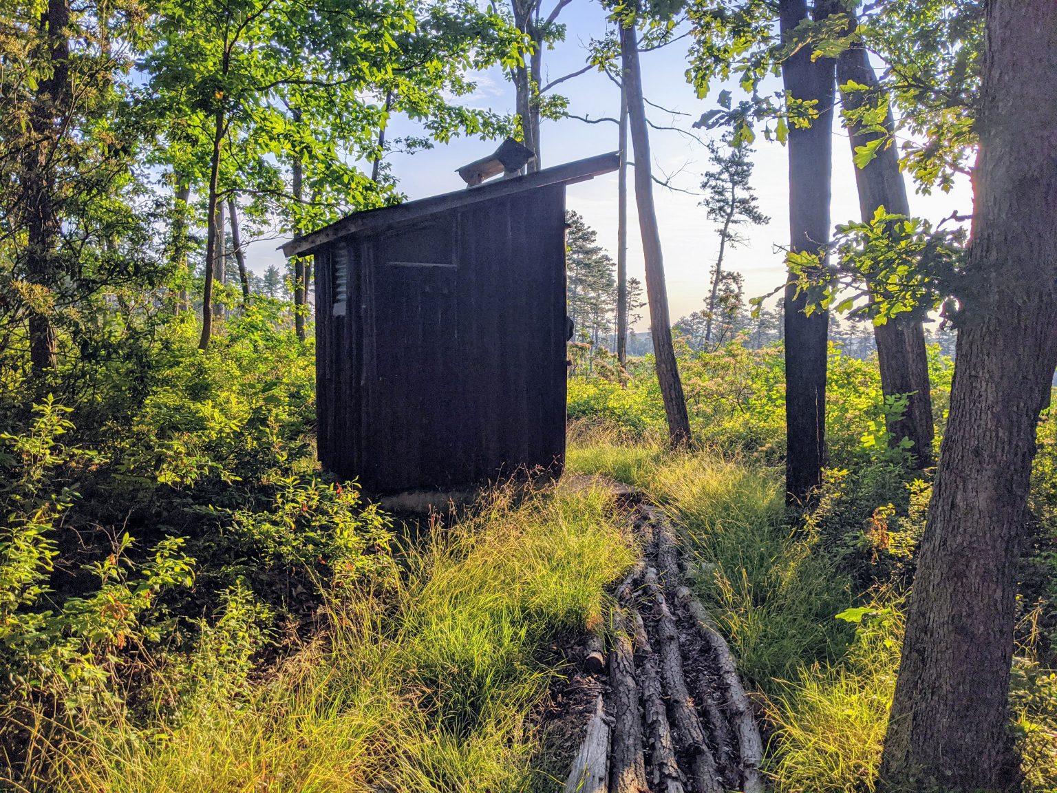 Anna Michener Cabin – David R. Whitney