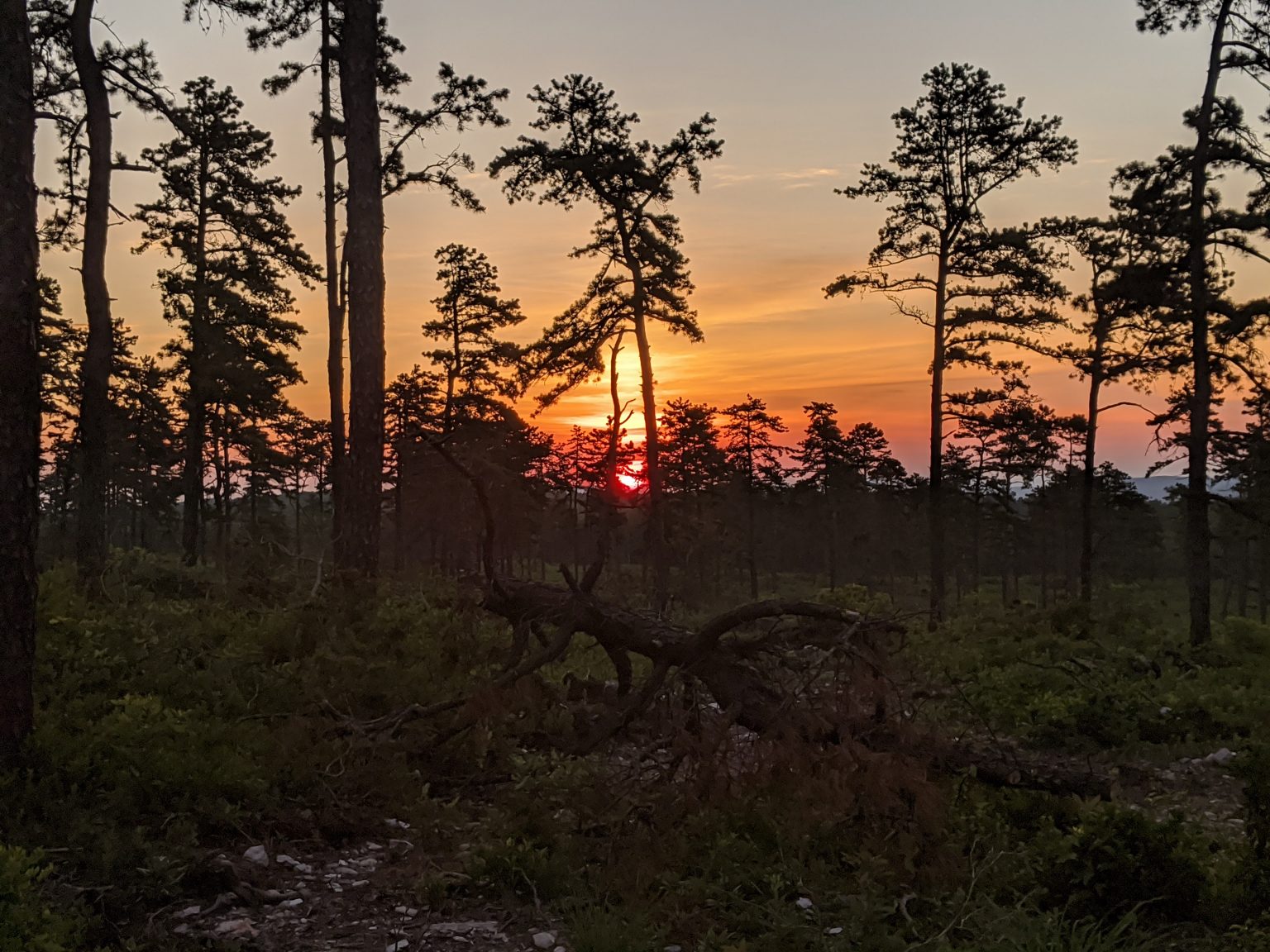 Anna Michener Cabin – David R. Whitney