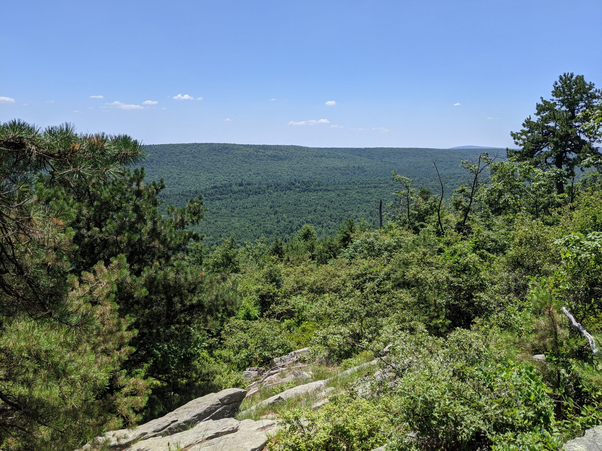 Anna Michener Cabin | David R. Whitney